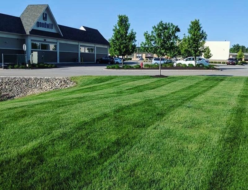 Commercial and Industrial Turf Care - North Point Outdoors